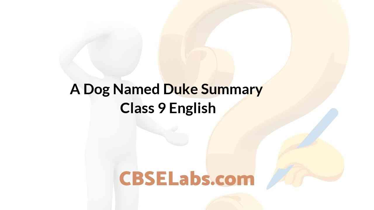 A Dog Named Duke Summary Class 9 English - CBSE Labs