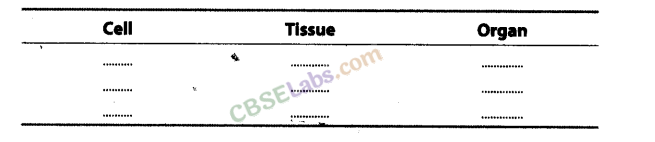 NCERT Exemplar Class 8 Science Chapter 8 Cell Structure and Functions ...